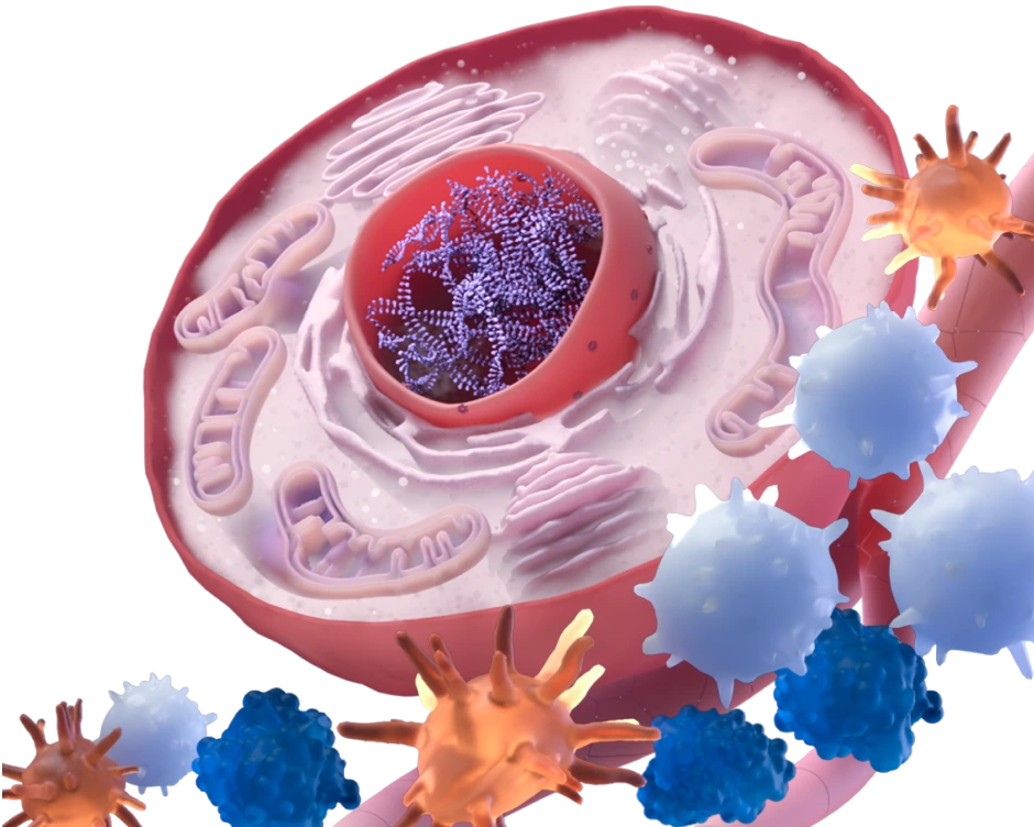 Tumor Portrait™ | BostonGene