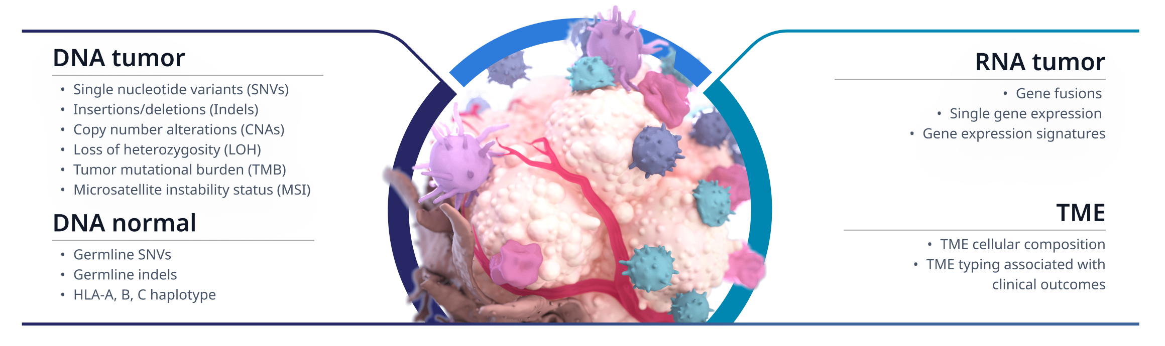 Tumor Portrait™ | BostonGene